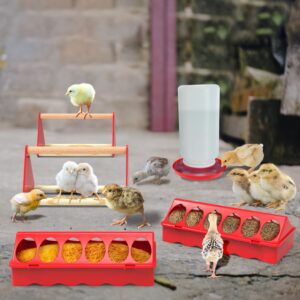 Kculehtlla Chick Feeder and Waterer Kit - Baby Chicken Supplies with Chicks Perch, Plastic Feeder Trough and 1.2L Waterer, Chicken Starter Kit for Coop and Brooder for Small Poultry Ducks Quail