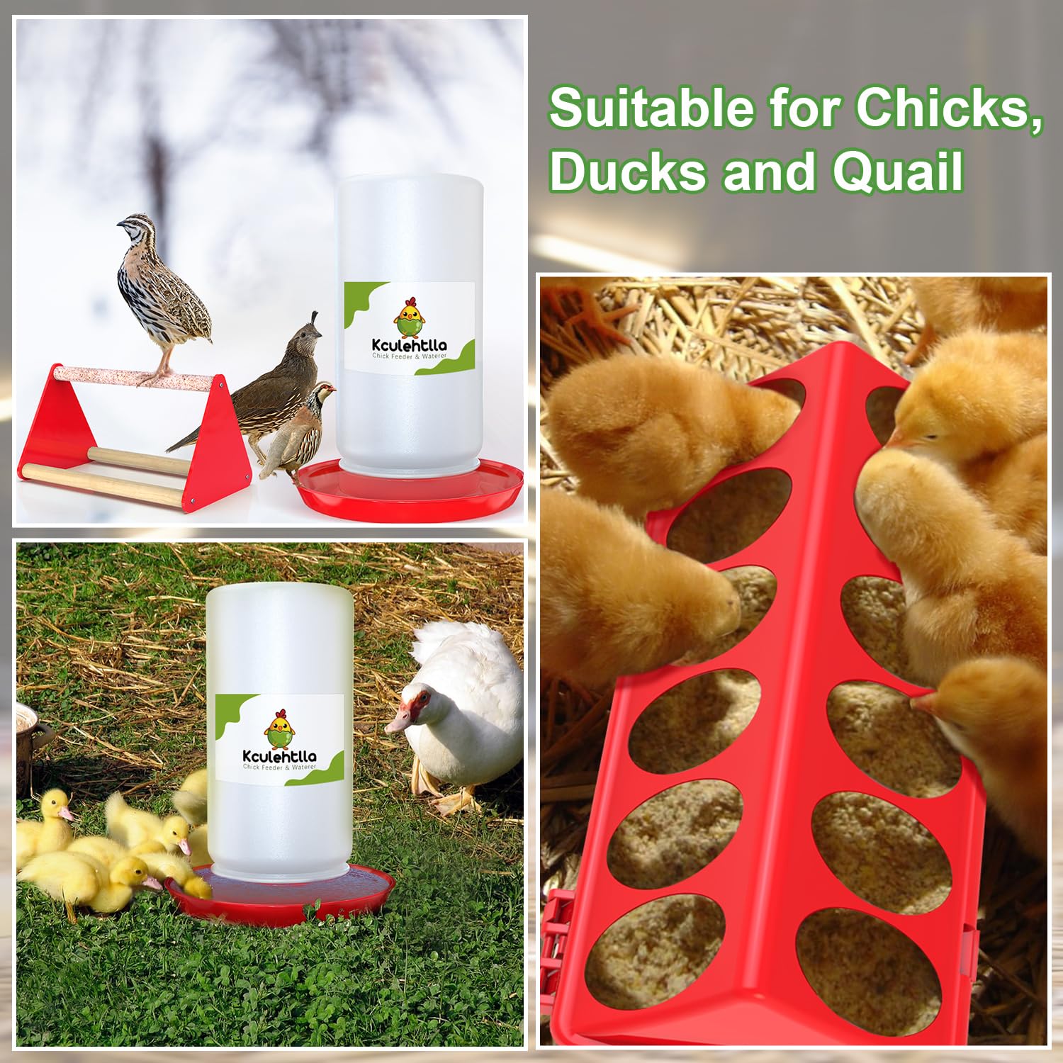 Kculehtlla Chick Feeder and Waterer Kit - Baby Chicken Supplies with Chicks Perch, Plastic Feeder Trough and 1.2L Waterer, Chicken Starter Kit for Coop and Brooder for Small Poultry Ducks Quail