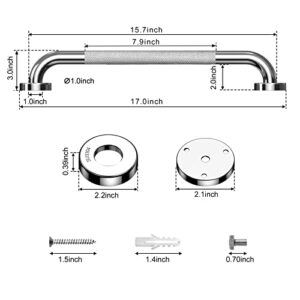 LZPTYYSN 2 Pack 16 Inch Grab Bars for Elderly for Wall, Anti-Slip Handicapped Grab Bars, Stainless Steel Bathroom Grab Bar