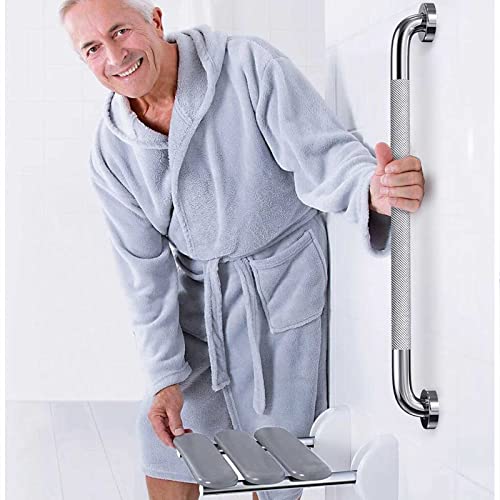 LZPTYYSN 2 Pack 16 Inch Grab Bars for Elderly for Wall, Anti-Slip Handicapped Grab Bars, Stainless Steel Bathroom Grab Bar