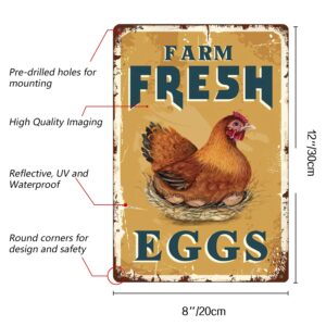 Metal Signs Funny Chicken Coop Decor, Farm Sign for Home Kitchen Outdoor Plaque Gifts for Chicken Fan Lovers 6 Pces 8×12 Inch