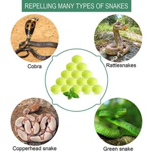 Jifeineng 15 Pack Snake Away Repellent Ball for Yard Powerful Pet Children Safe Outdoor Use Snake Be Gone