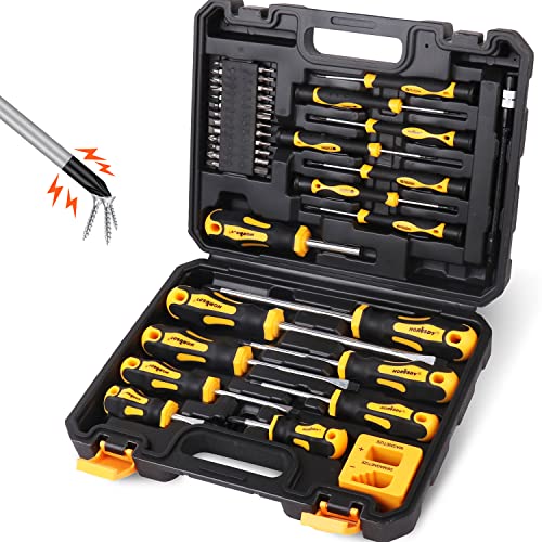 HORUSDY 43-piece Screwdriver Set, Include Phillips, Slotted, Pozidriv, Hex, Torx, and Magnetizer demagnetizer Precision Screwdriver Set for Tools for Men