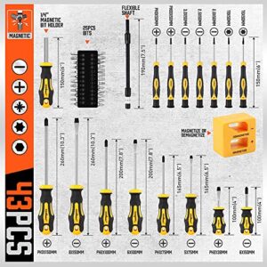 HORUSDY 43-piece Screwdriver Set, Include Phillips, Slotted, Pozidriv, Hex, Torx, and Magnetizer demagnetizer Precision Screwdriver Set for Tools for Men