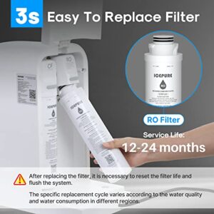 ICEPURE CTR-W2 RO Filter Replacement Cartridge, Replacement for Countertop Reverse Osmosis Water Filtration System, Purify Tap Water, Remove 99.99% PFAS&PFOA&PFOS，12-24 Months (1 Pack)