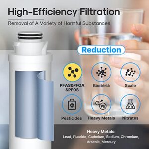 ICEPURE CTR-W2 RO Filter Replacement Cartridge, Replacement for Countertop Reverse Osmosis Water Filtration System, Purify Tap Water, Remove 99.99% PFAS&PFOA&PFOS，12-24 Months (1 Pack)