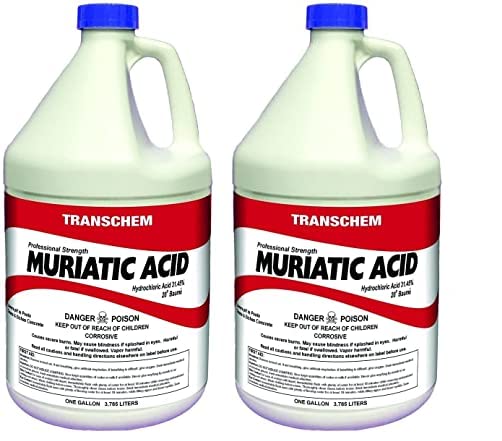 Sunbelt Chemicals 1 Gallon Muriatic Acid (Pack of 2)