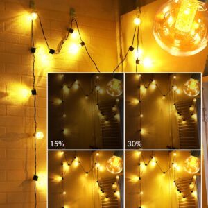 FREECUBE 50 Led Outdoor String Lights G40 Globe, 49FT Dimmable Patio Lights with Remote, 4 Modes, Timer, Waterproof Outdoor String Lights for Yard, Balcony, Backyard Festival Decor