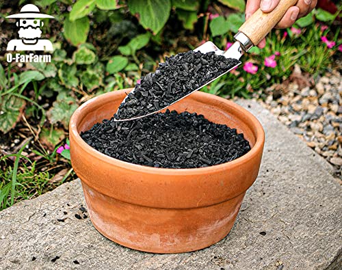 O-FarFarm Horticultural Charcoal for Potted Plants 2 QT, Hardwood Charcoal for Potting Soil Amendment, Orchids, Terrariums, and Gardening