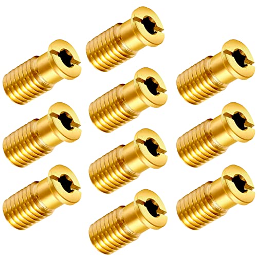 10 Pieces Brass Pool Cover Anchors Screws Pool Safety Cover Anchor Replacement Kit, Heavy Duty Pool Cover Anchors Concrete