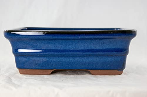 Rectangular Glazed Bonsai & Succulent Pot + Mesh 8"x 6"x 2.75" - Blue Glazed