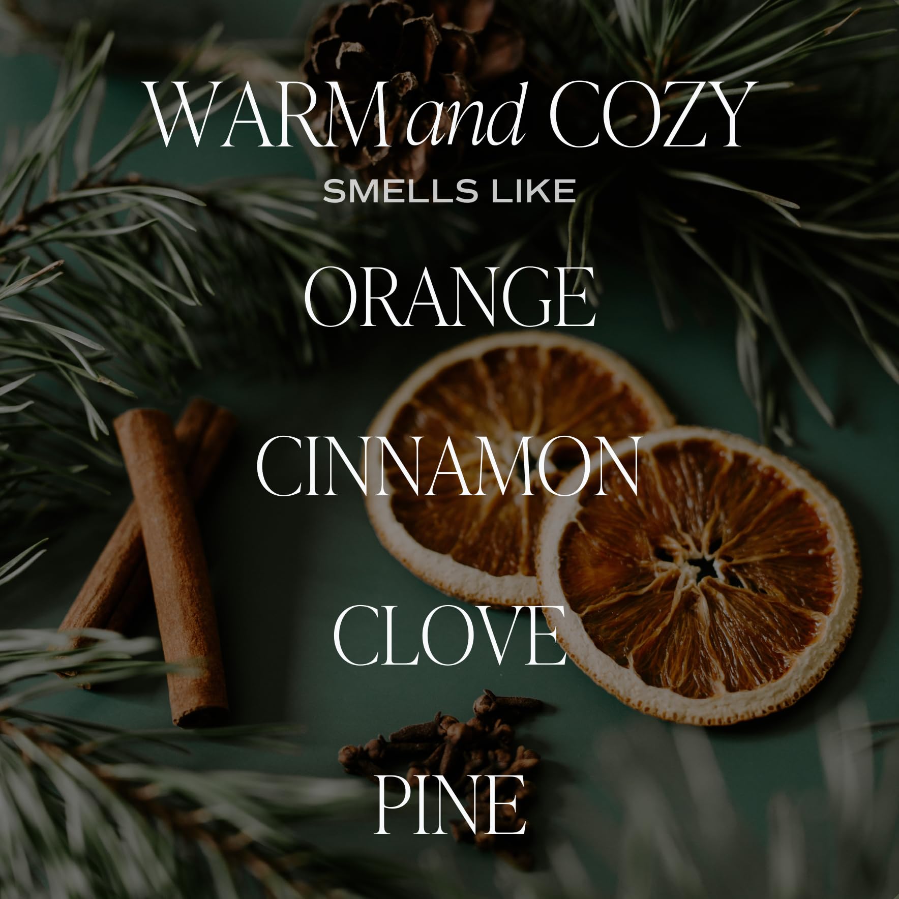 Sweet Water Decor Warm and Cozy Amber Reed Diffuser Set | Orange Peel, Cinnamon, Ginger, Clove, Cypress Scented Air Freshener | Fragrance Gift Sets | Housewarming Gifts | Decorative Scent Sticks