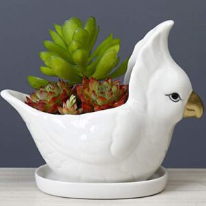 homoyoyo parrot planter pot ceramic flower pot for bonsai mini parrot shape succulent planter with saucer for suculent cactus flower pot holder bird figurine for desk decoration white