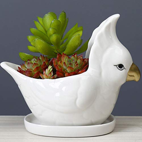 Homoyoyo Parrot Planter Pot Ceramic Flower Pot for Bonsai Mini Parrot Shape Succulent Planter with Saucer for Suculent Cactus Flower Pot Holder Bird Figurine for Desk Decoration White