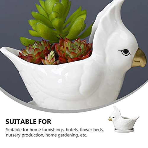 Homoyoyo Parrot Planter Pot Ceramic Flower Pot for Bonsai Mini Parrot Shape Succulent Planter with Saucer for Suculent Cactus Flower Pot Holder Bird Figurine for Desk Decoration White