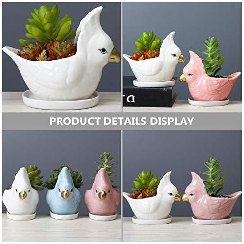 Homoyoyo Parrot Planter Pot Ceramic Flower Pot for Bonsai Mini Parrot Shape Succulent Planter with Saucer for Suculent Cactus Flower Pot Holder Bird Figurine for Desk Decoration White