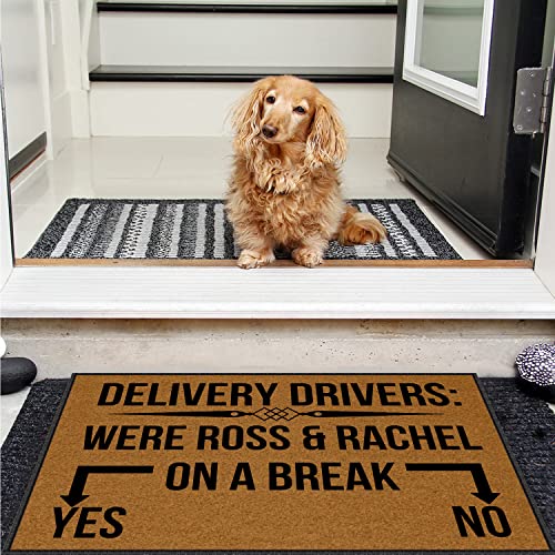 BinHang Indoor Floor Mats for Entryway, Entrance Rugs Indoor Non Slip were Ross and Rachel on a Break Doormat Rubber Backing Machine Washable 31.5X20 Inch