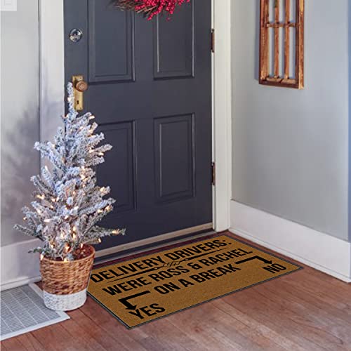 BinHang Indoor Floor Mats for Entryway, Entrance Rugs Indoor Non Slip were Ross and Rachel on a Break Doormat Rubber Backing Machine Washable 31.5X20 Inch