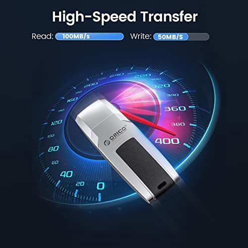 ORICO USB 3.2 Flash Drive 256GB, Memory Stick 256GB 100 MB/s Reading Thumb Drive with Keychain USB Flash Drive Metal USB Drive Data Storage Compatible with Computer/Laptop（U3）