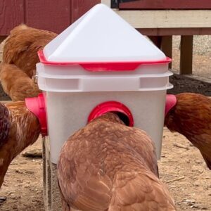 RentACoop Chick2Chicken 10lb BPA-Free 4-Port Feeder - Includes Anti-Roost Cone, Slider Port Cover, and Lid - Suitable for up to 20 Chicks & 12 Adult Chickens