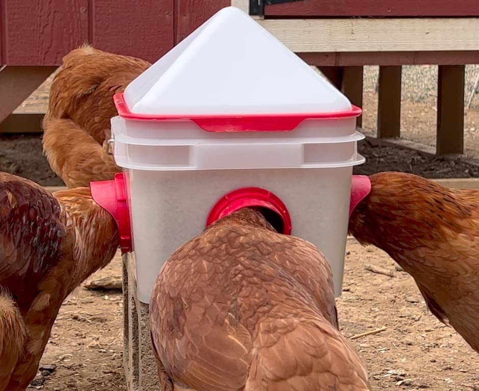 RentACoop Chick2Chicken 10lb BPA-Free 4-Port Feeder - Includes Anti-Roost Cone, Slider Port Cover, and Lid - Suitable for up to 20 Chicks & 12 Adult Chickens