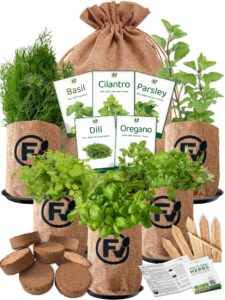 indoor herb starter grow kit - 5 different medicinal & tea herb seeds - parsley, basil, cilantro (coriander), dill, oregano - non gmo and heirloom - including pots and soil - made in usa