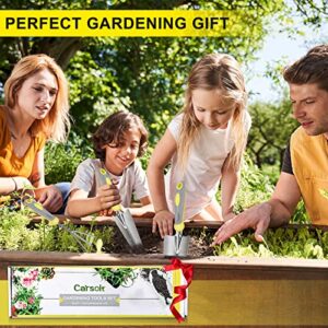 Garden Tools Set, Carsolt 3 Piece Stainless Steel Heavy Duty Gardening Tools Includes Trowel, Transplant and Hand Rake with Non-Slip Ergonomic Handle, Gardening Kit with Gift Box Ideal Garden Gifts