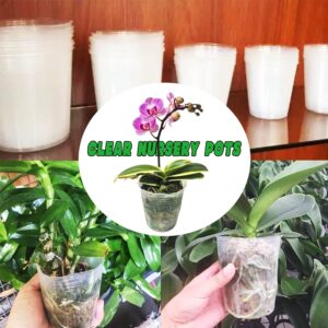 Baaxxango 48 PCS Plant Nursery Pots,Transparent Plastic Gardening Pot,Soft Clear Plastic Planter with Drainage Hole for Seedling Succulent Vegetable with 48 Labels,6/5/4/3 Inch