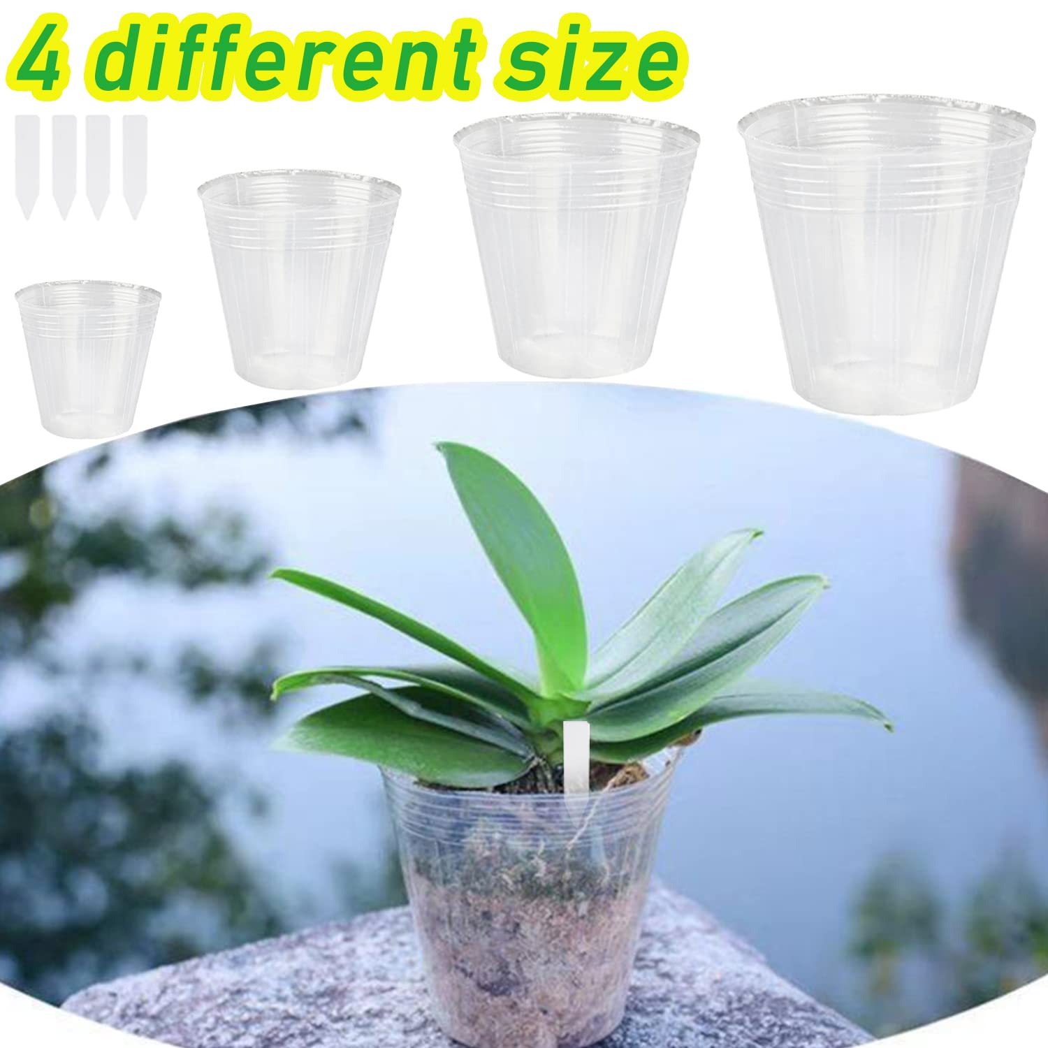 Baaxxango 48 PCS Plant Nursery Pots,Transparent Plastic Gardening Pot,Soft Clear Plastic Planter with Drainage Hole for Seedling Succulent Vegetable with 48 Labels,6/5/4/3 Inch