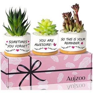 inspirational gifts for women, you are awesome, birthday gift for grandma mom sister friend, garden decor planter succulent pots