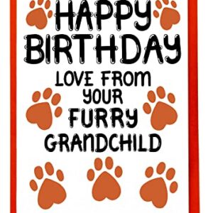 Birthday Card From Furry Grandchild, Pets, Dog, Cat For Grandma, Grandpa, Fur Grandparent