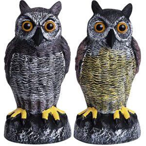 galashield owl decoys to scare birds away | plastic owls to scare birds away | owl statue for garden & outdoors [set of 2]