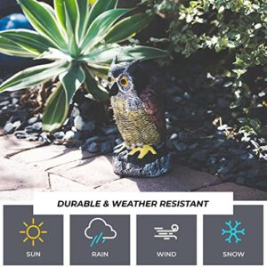 Galashield Owl Decoys to Scare Birds Away | Plastic Owls to Scare Birds Away | Owl Statue for Garden & Outdoors [Set of 2]