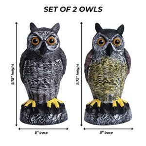 Galashield Owl Decoys to Scare Birds Away | Plastic Owls to Scare Birds Away | Owl Statue for Garden & Outdoors [Set of 2]