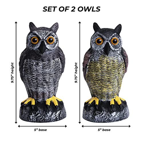 Galashield Owl Decoys to Scare Birds Away | Plastic Owls to Scare Birds Away | Owl Statue for Garden & Outdoors [Set of 2]