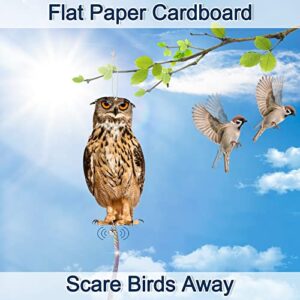 Fake Owls to Keep Birds Away, Bird Scare Device, Bird Scarer, Cardboard Hanging Reflectors, Flat Paper Garden Owls Scare Pigeons Woodpeckers Rodent Goose Away from Porch Patio Garage Tree Pool 4PCS