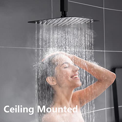 Esnbia 12" Rain Shower Head, Stainless Steel Rainfall Ceiling Mount Shower Head, 2.5 GPM Water Flow, Matte Black （Shower Arm NOT Include）