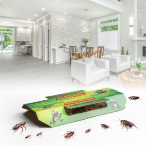 (20 pack) roach traps indoor,roach killer indoor infestation, cockroach killer indoor home, cockroach trap, roach motel, pet-friendly roach killer indoor for roaches, ants, spiders, bugs, beetles