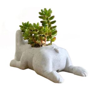 F/A Resin Dog Succulent Planter Animal Succulent Plant Pots French Bulldog Shape Cute Bonsai Flower Pots for Plants Flower Cactus (No Plants)