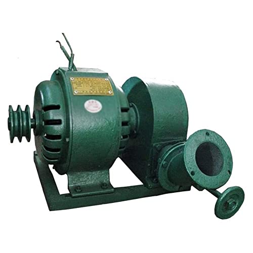 1000W Horizontal Hydroelectric Generator 220V AC Household Electricity Generation Equipment Outdoor Generators Clean Energy Lighting 50HZ 500-1500r/min