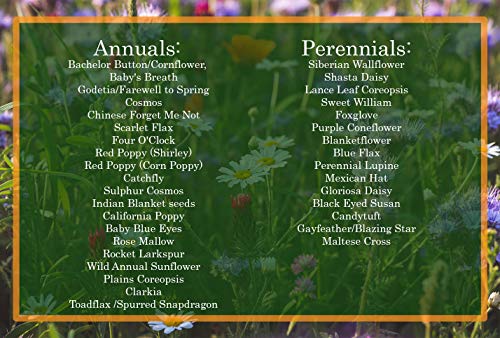 340,000 Wildflower Seeds, 1/2 lb, 35 Varieties of Flower Seeds, Mix of Annual and Perennial Seeds for Planting, Attract Butterflies and Hummingbirds, Non-GMO