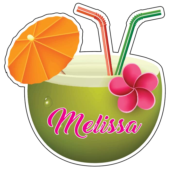 Magnet Customized for your Stateroom Door on your Disney Cruise, Carnival, Royal Caribbean, etc. - Personalized Coconut Drink with Pink Flower