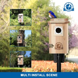 SISTERBIRD Bird Houses for Outside 1-1/2” Entrance Hole Cedar Birdhouses with Metal Guard Outdoor Bluebird Wren Swallow Finch Asssembly Required