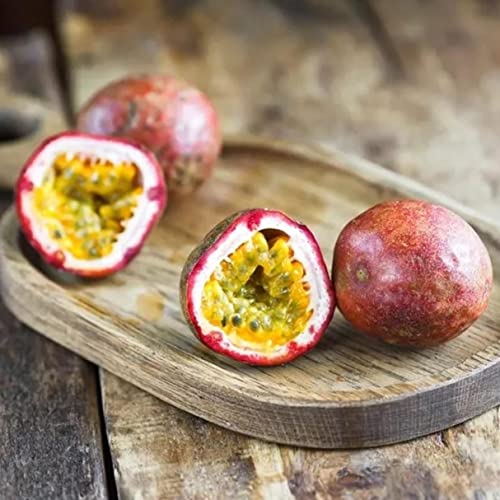 100+ Passion Fruit Seeds