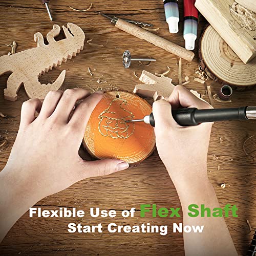 PHALANX 12V Cordless Rotary Tool Kit with Keyless Chuck, 6-Speeds 5000-32000RPM, 119 Accessories with Flex Shaft, Idea for Cutting, Grinding, Wood Carving- Include 2.0AH Battery, Charger