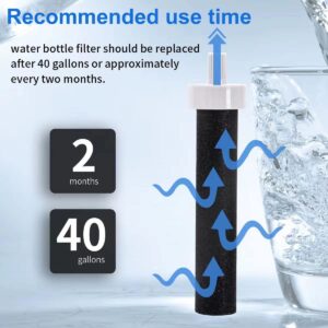 TUOOWO Water Bottle Filter for Brita Water Bottle Filter Replacement, Water Filter Replaces Part, Stainless Steel Bottle (4Pcs Filters and 1Pc Straw)