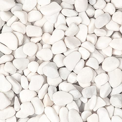 Ausluru 5lbs Natural River Rocks Polished Pebbles for Plants Garden Decorative Stones, Ideal for Fish Tank, Vases, Succulents, Crafting, Home Decor and Garden Landscaping, Mini White