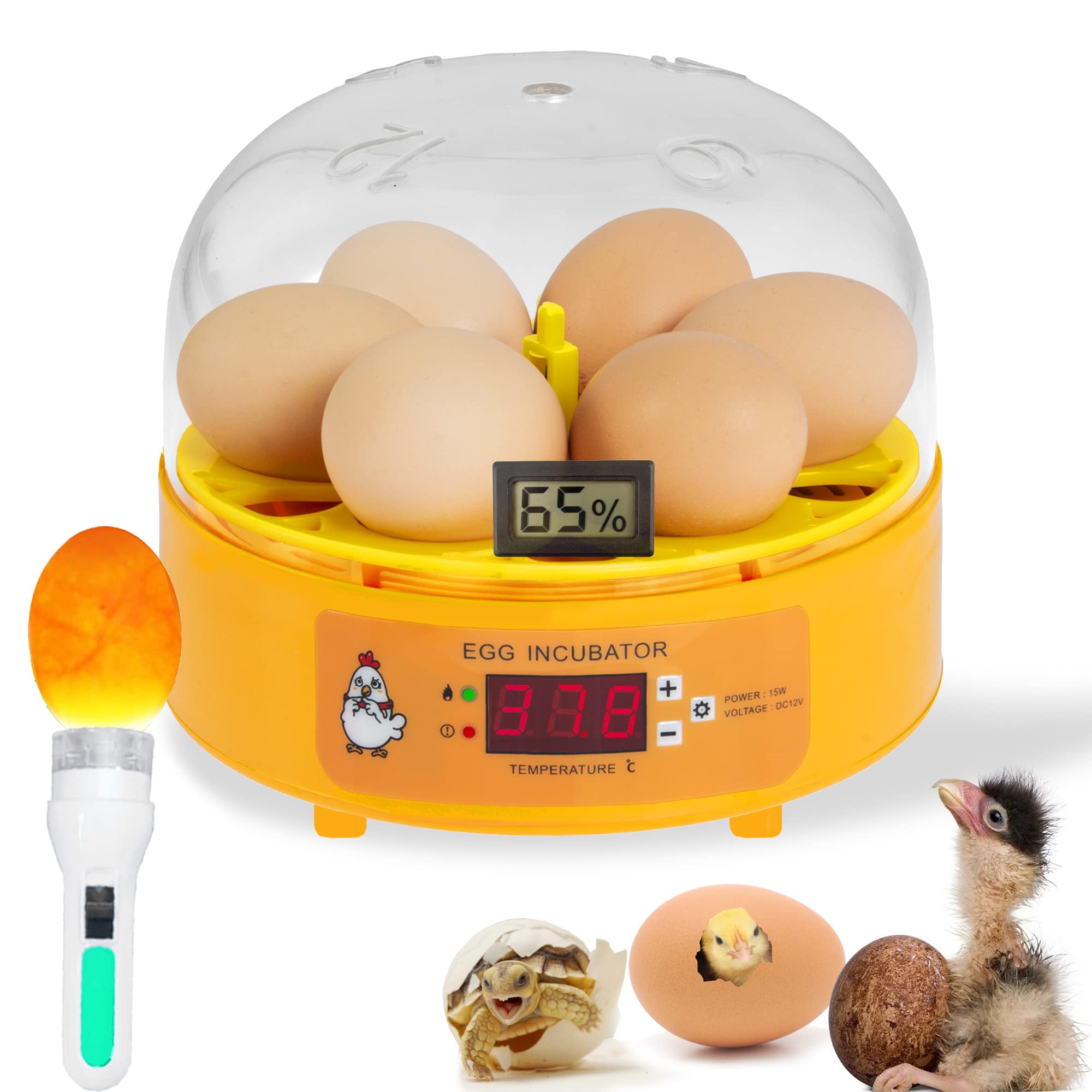 Eggs Incubators for Hatching Eggs,Automatic Egg Turner, Temperature Humidity Control,Egg Incubator Clear View,Egg Candler,Poultry Egg Incubator for Hatching Chicken Eggs, Quail Eggs, Duck Eggs, Turkey