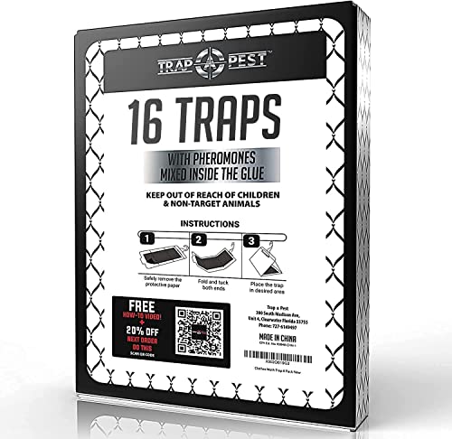 Clothing Moth Traps 16 Pack - Non Toxic Moth Traps for Clothes with Pheromone Attractant - Closet Moth Traps Odorless Sticky Traps for Closet, Carpets - Trap a Pest