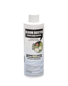 bloom buster algae control for fish ponds & water gardens - 8 ounces - safe for koi fish, goldfish & plants - controls algae in ponds & water features, epa registered